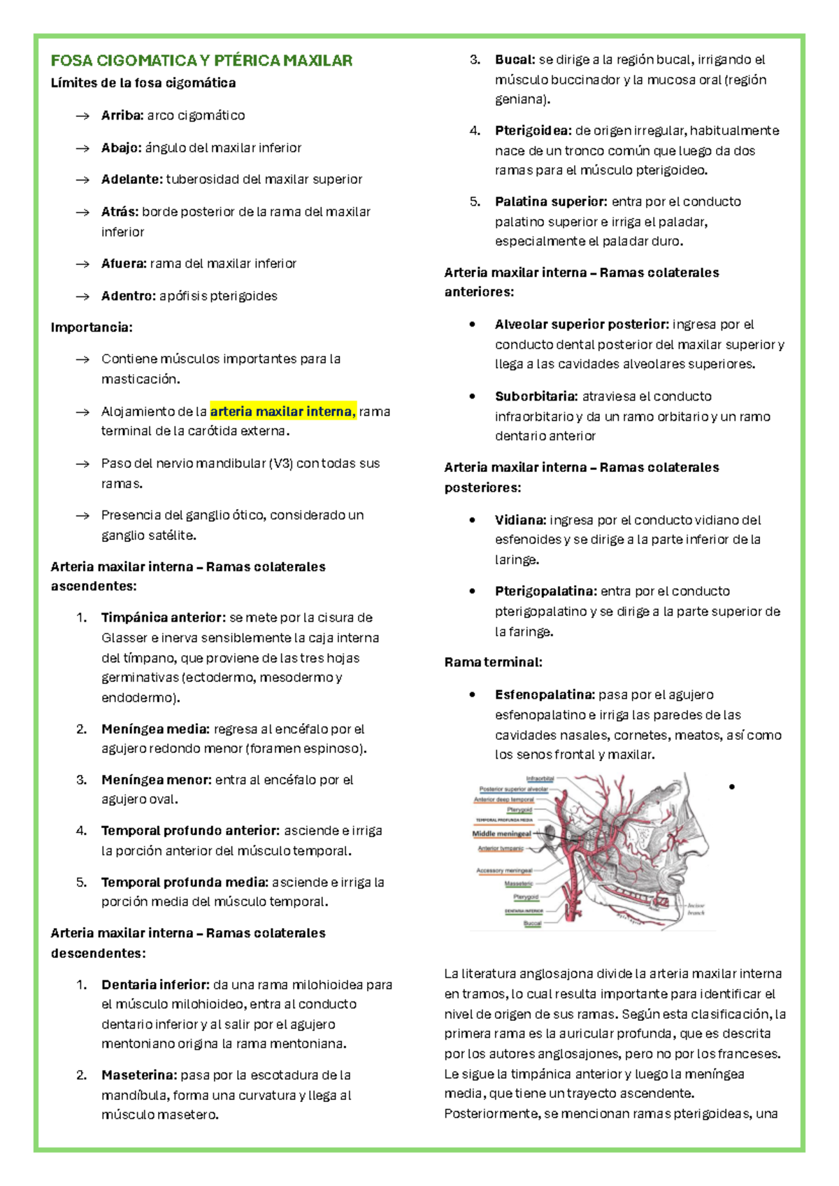 FOSA CIGOMÁTICA Y PTERIGOPALATINA MAXILAR: ESTRUCTURAS Y FUNCIONES ...