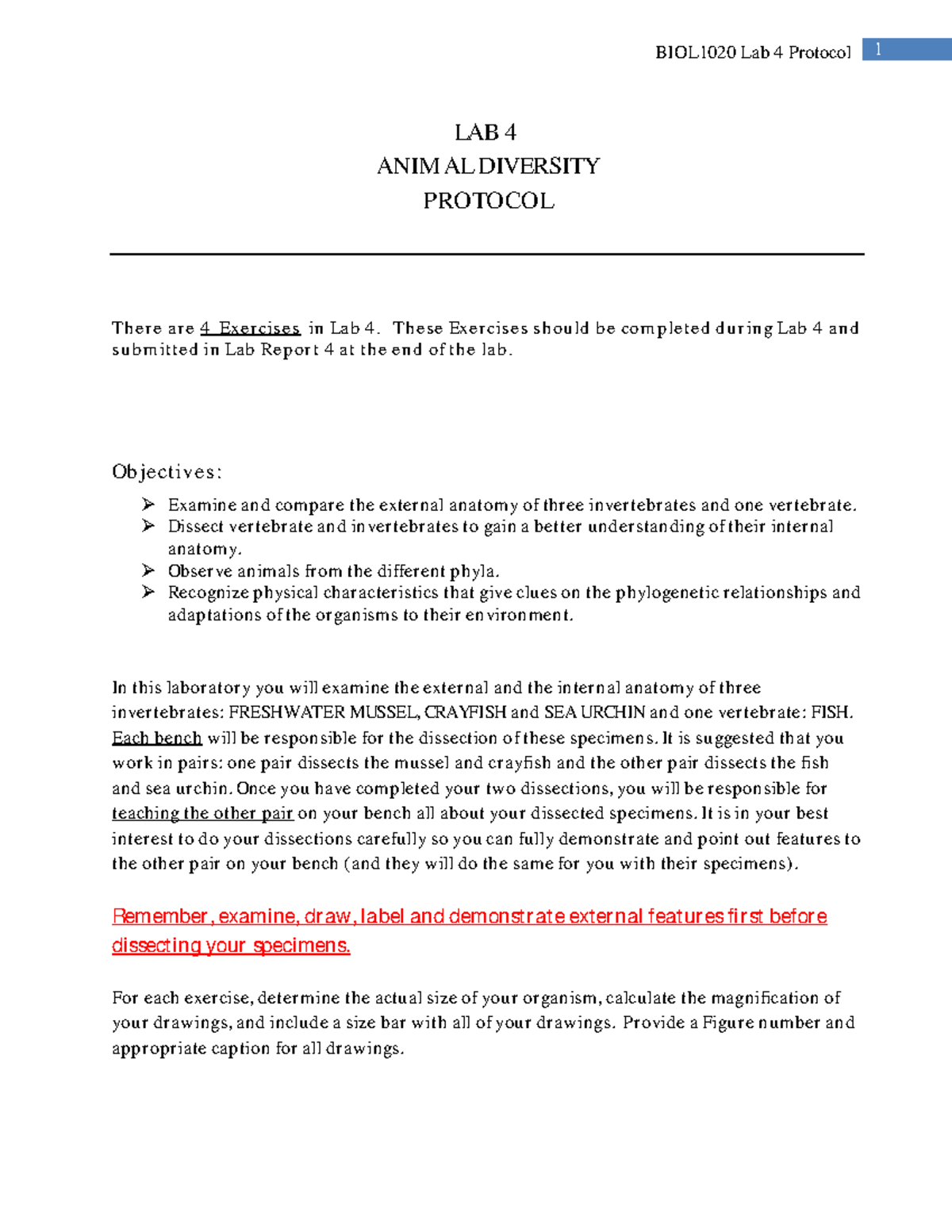 BIOL1020 Lab 4 Protocol: Animal Diversity Dissection Guide - Studocu