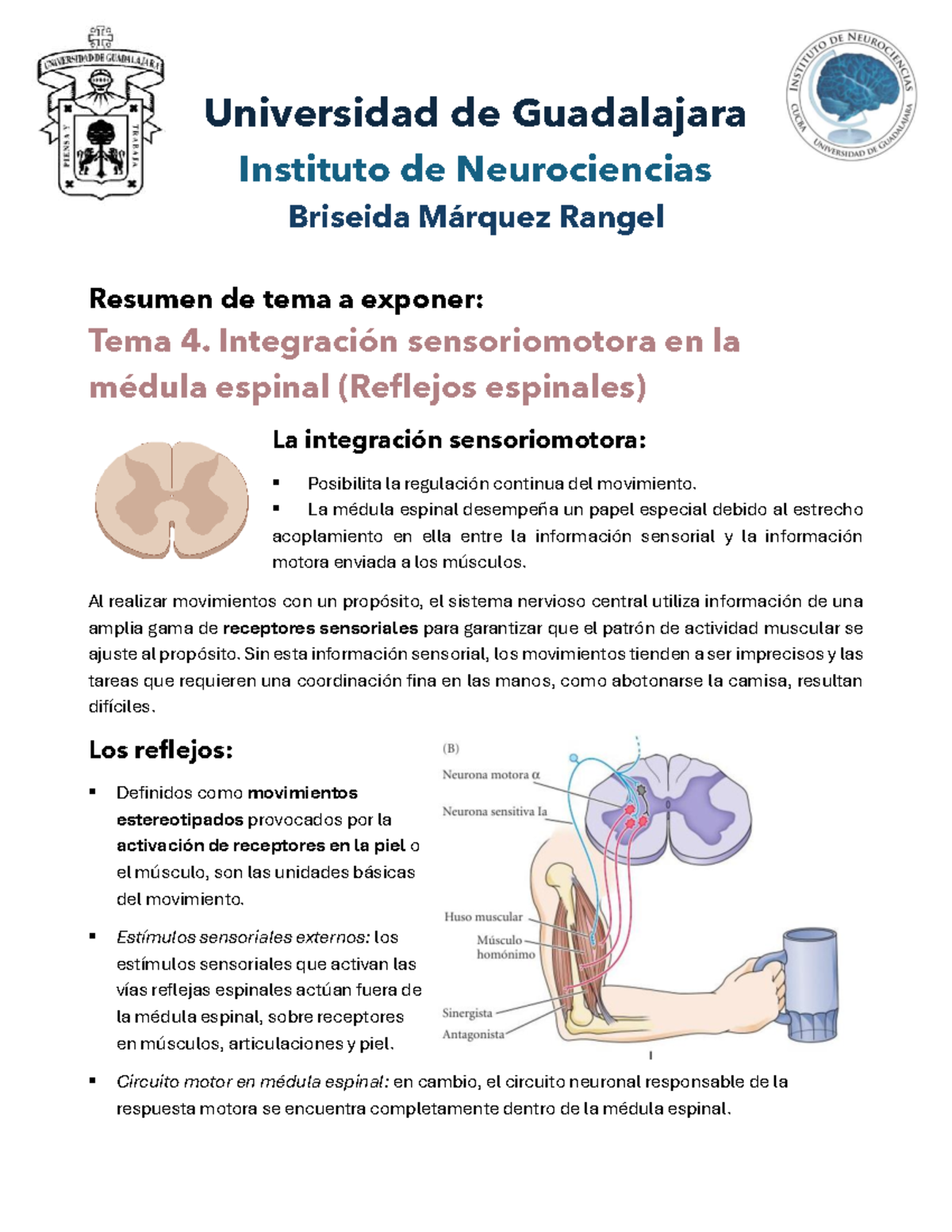 Resumen del Tema 4: Integración Sensoriomotora y Reflejos Espinales ...