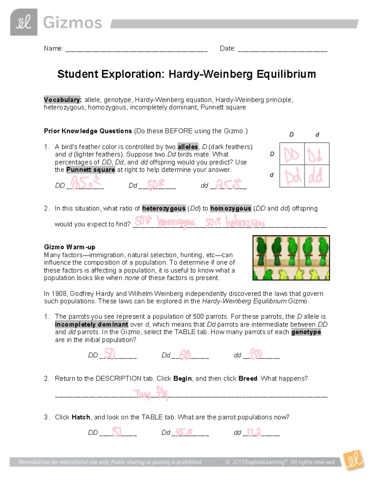 Hardy-Weinberg Equilibrium Exploration Activity (Bio 101) - Studocu