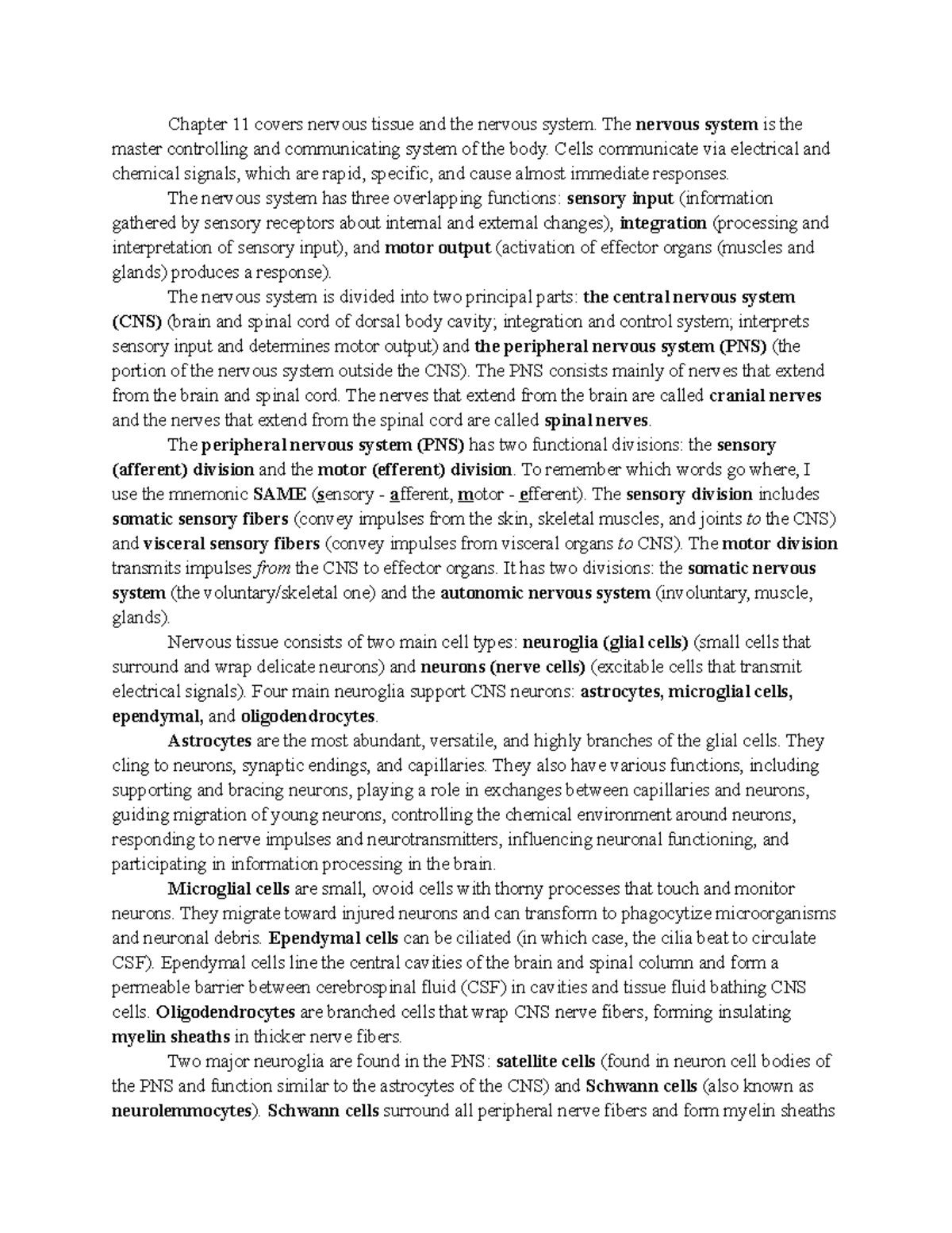 Cheroske Chapter 11 Lecture Summary - Chapter 11 covers nervous tissue ...