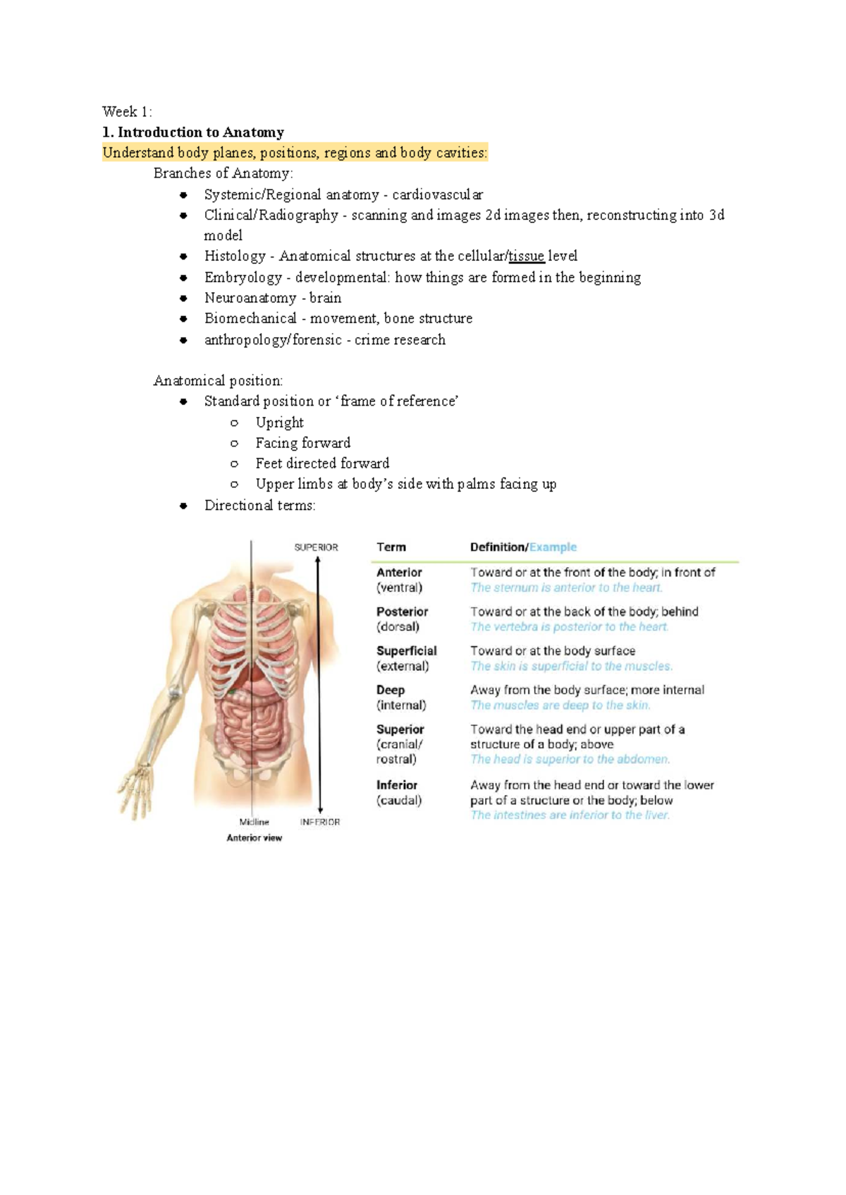 ANAT2111 - Week 1 & 2: Intro to Anatomy & Muscular System Notes - Studocu