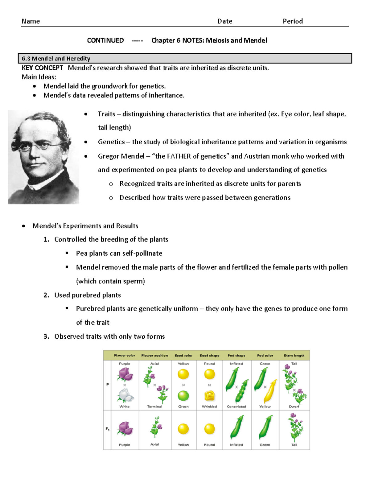 Chapter 6.3 & 6.6 Notes: Meiosis, Mendel, and Heredity Insights - Studocu