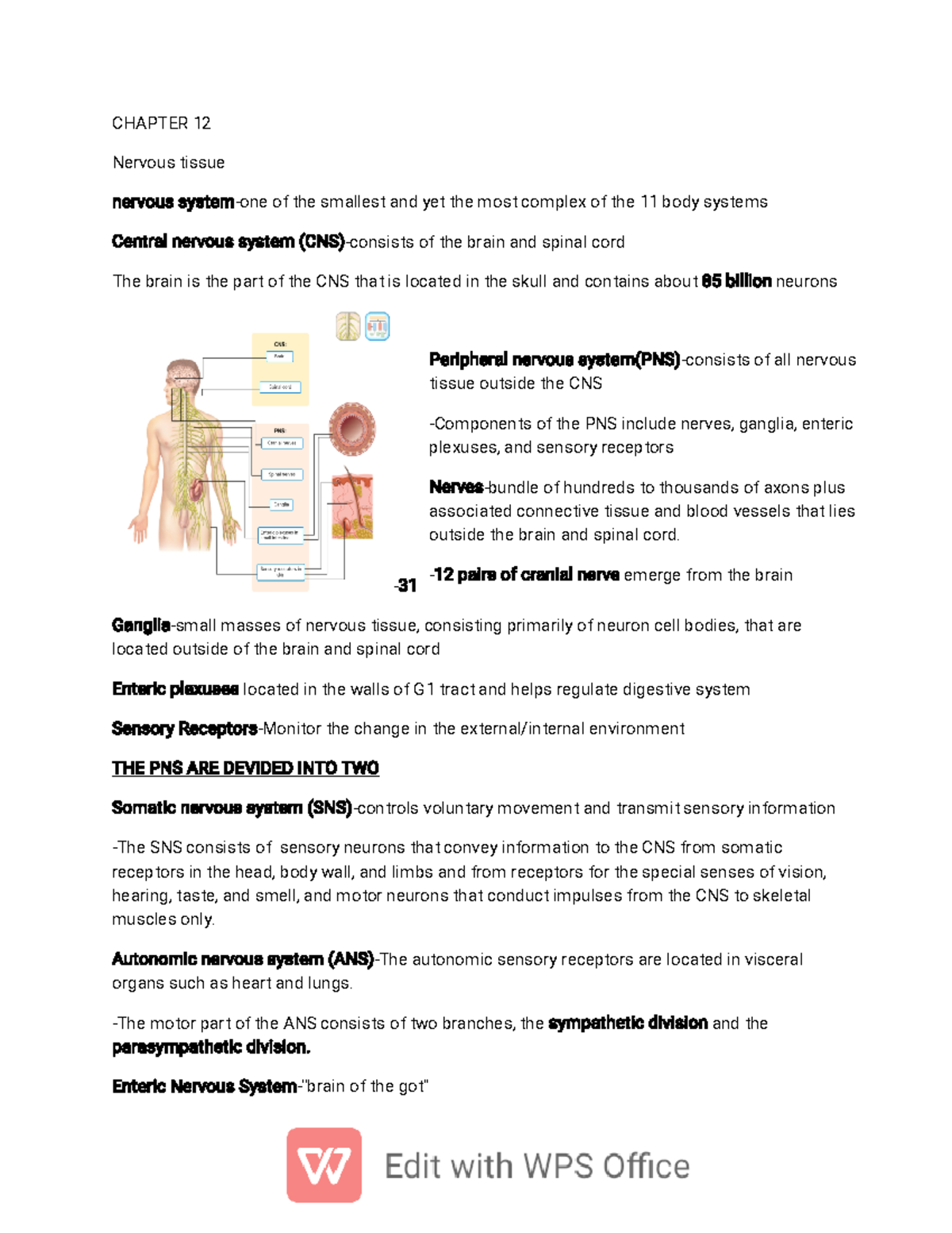 Chapter 12- Analec - CHAPTER 12 Nervous tissue nervous system-one of ...