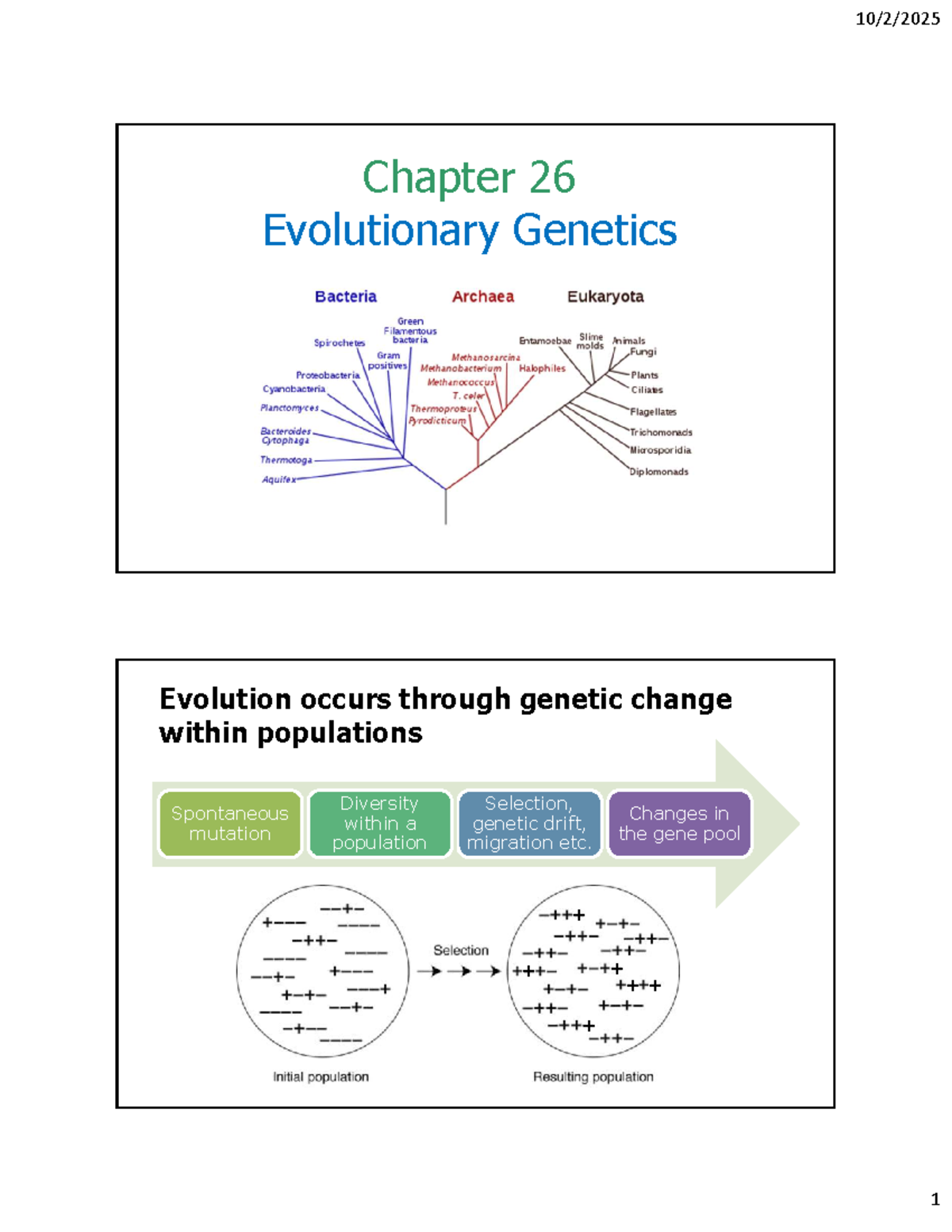 Genetics F2025: Chapter 26 - Overview of Evolutionary Genetics - Studocu