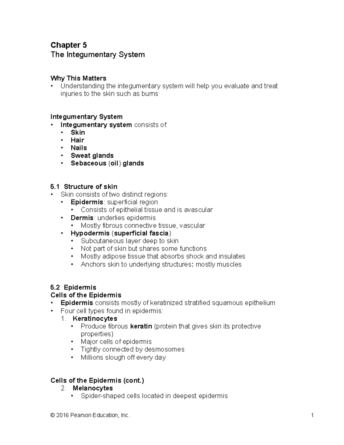 CH. 5 Integumentary System Lecture Notes: Structure and Function - Studocu