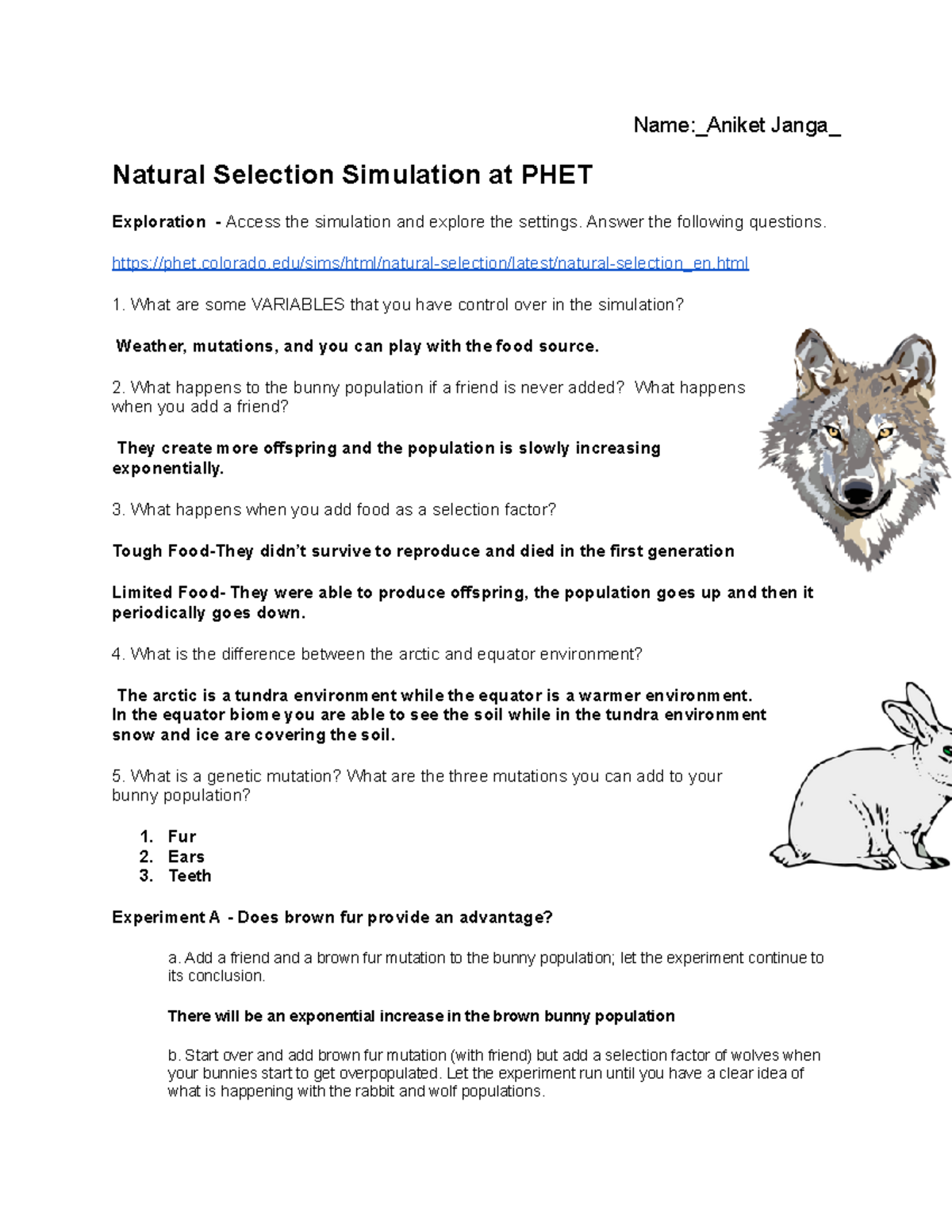 Wolves vs Rabbits: Natural Selection Simulation Insights - NS CER - Studocu