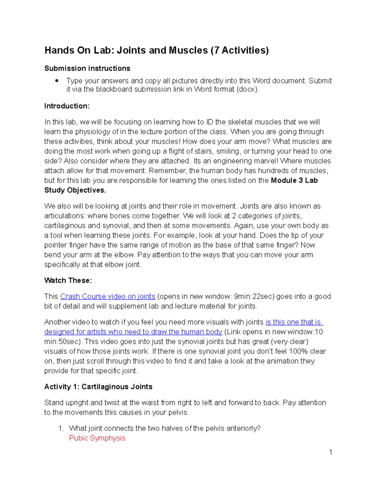 Lab 6: Exploring Joints and Muscles Through Hands-On Activities - Studocu