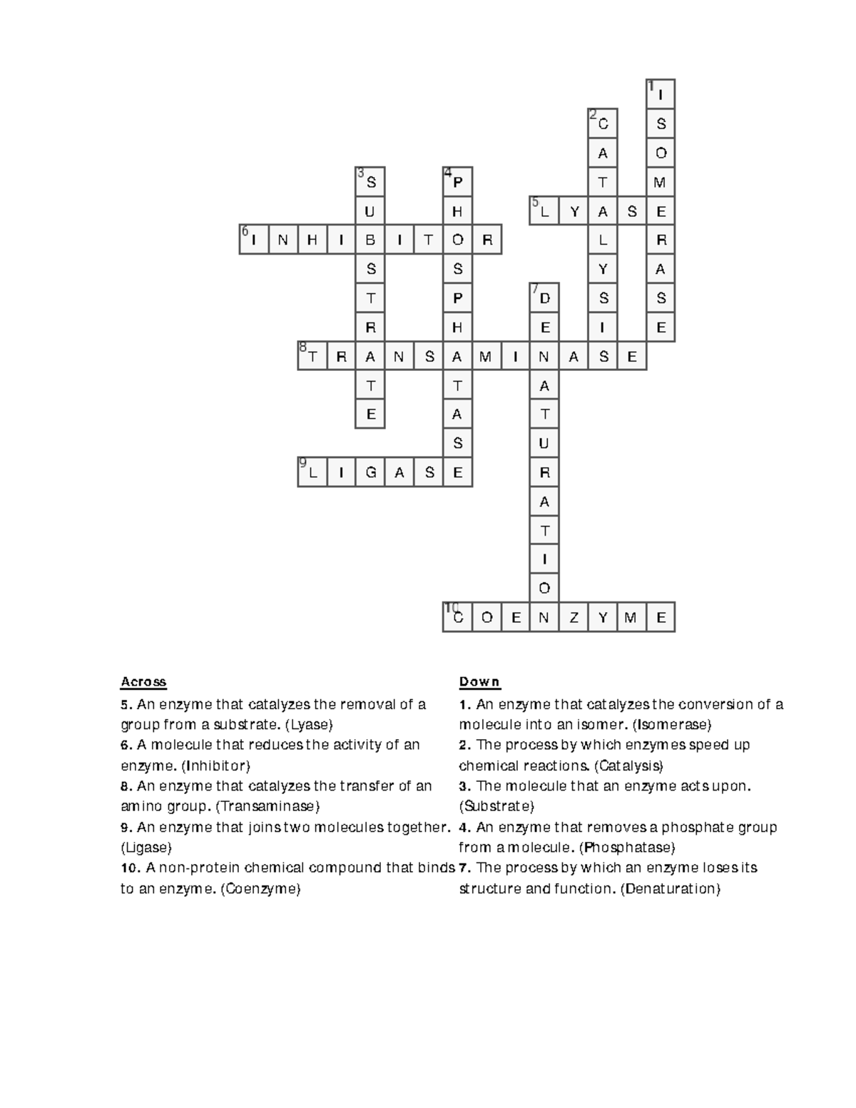 Biochemistry Crossword Puzzle: Enzymes & Their Functions - Studocu