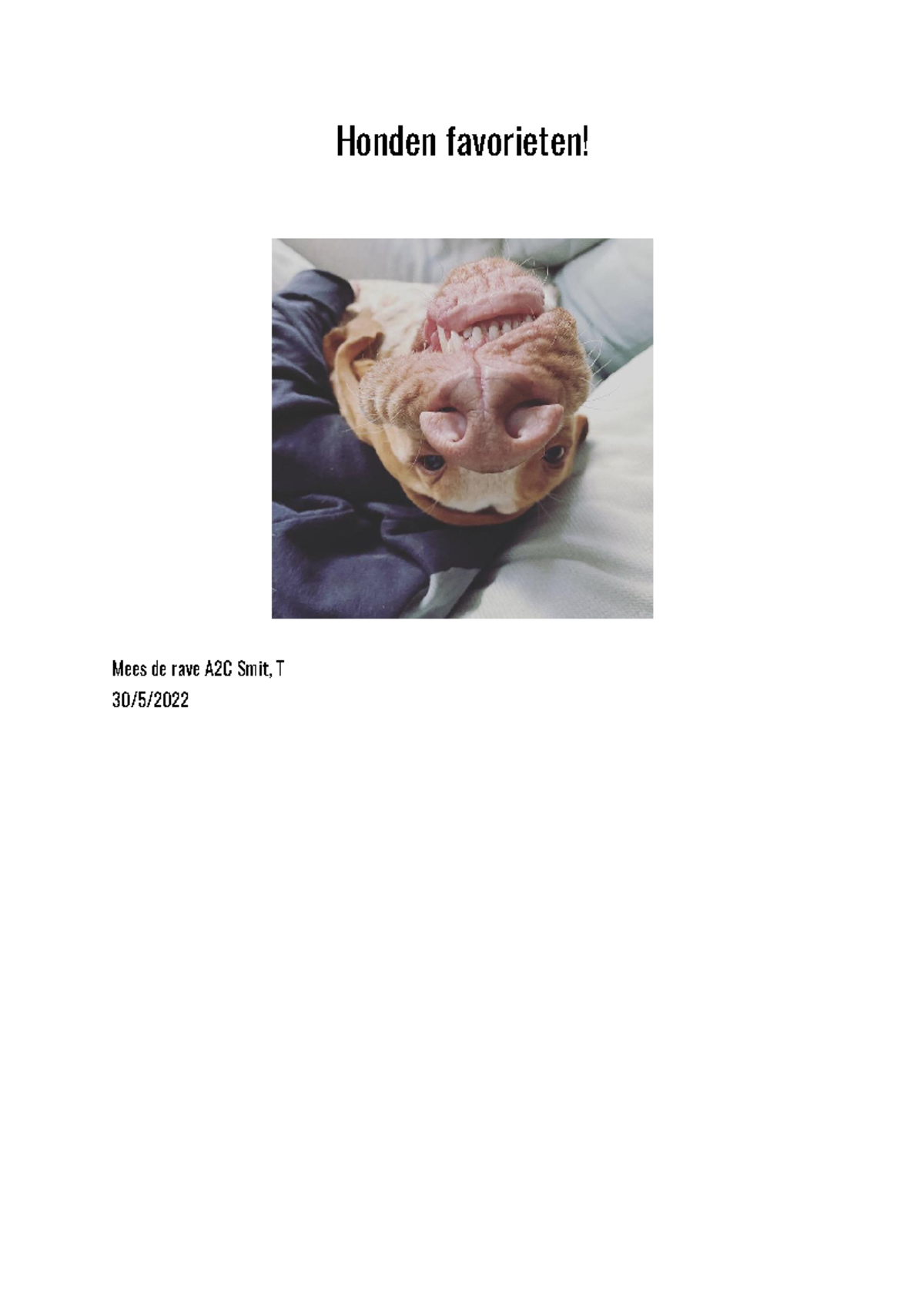 Honden favorieten NASK practicum - Honden favorieten! Mees de rave A2C ...