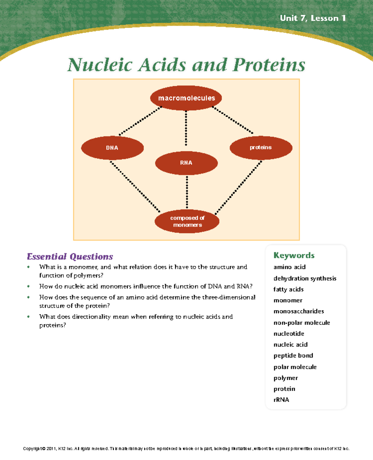 Unit 7, Lesson 1: Nucleic Acids and Proteins Overview - Studocu