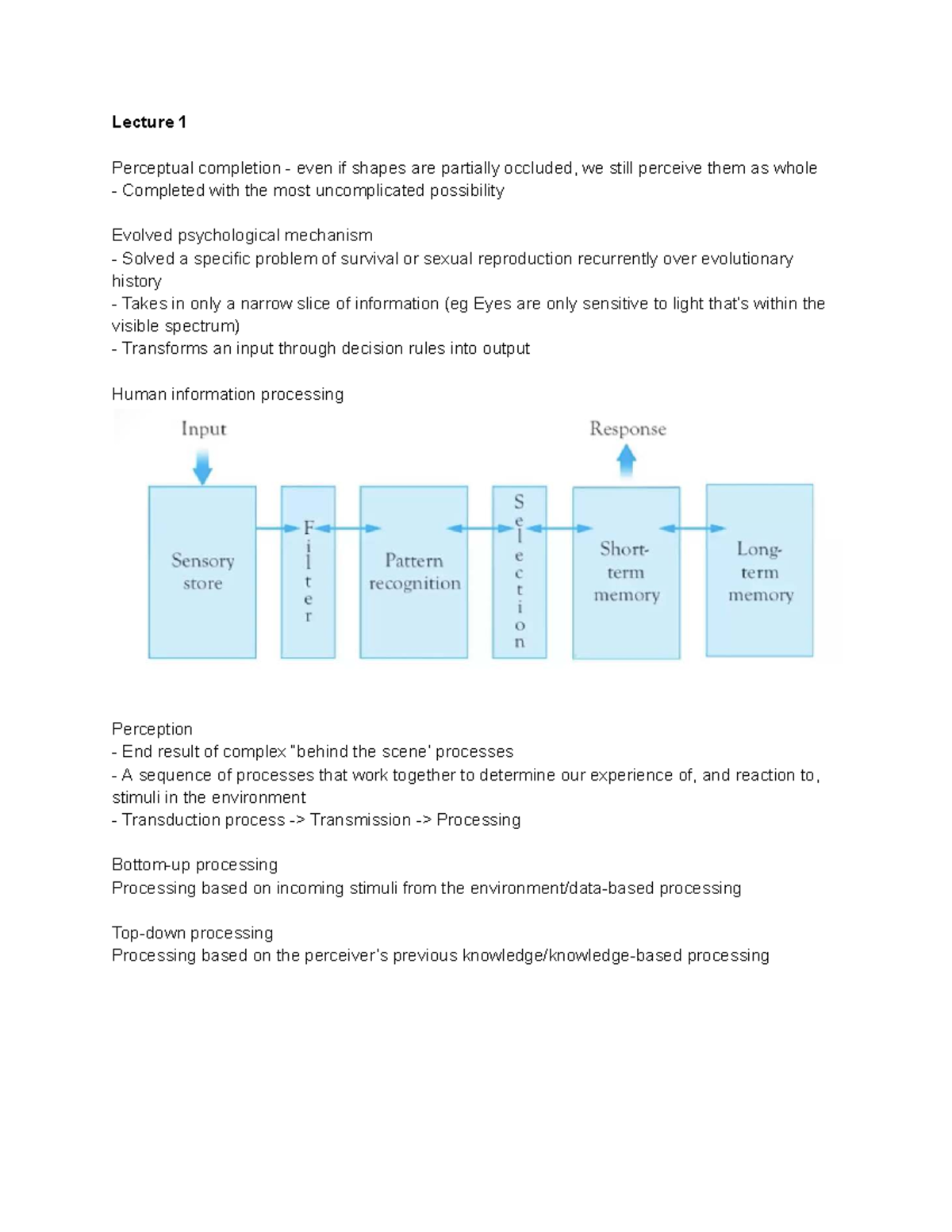 PL3103 Lecture Notes: Perceptual Completion, Pattern Recognition, and ...