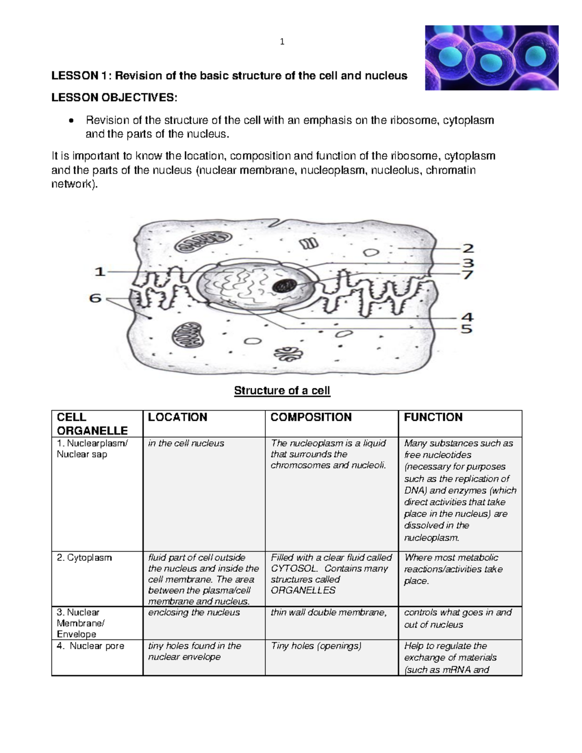 Lesson 1- Revision of cell structure (teachers guide) - 1 LESSON 1 ...