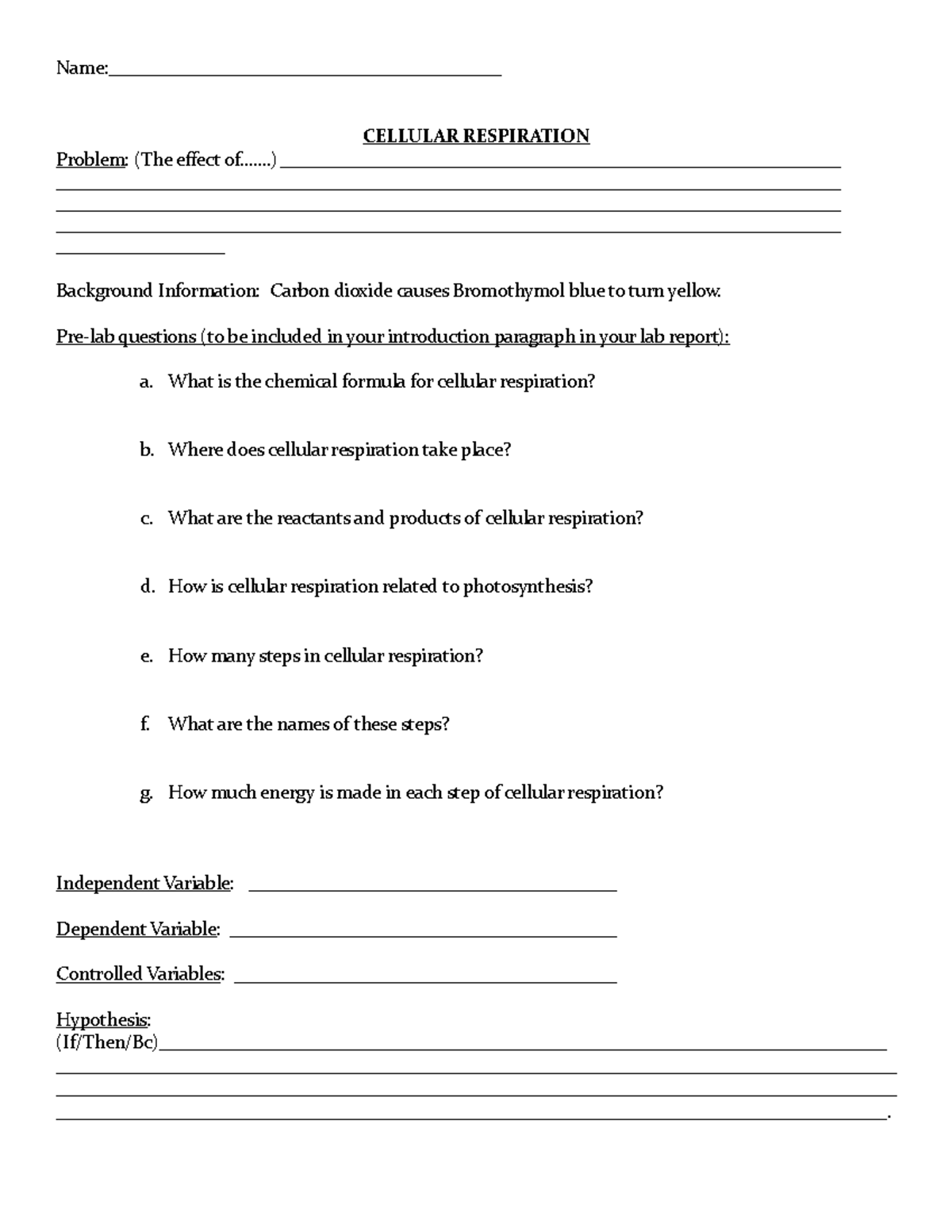 Cellular Respiration Lab Report: Exploring the Process and Variables ...