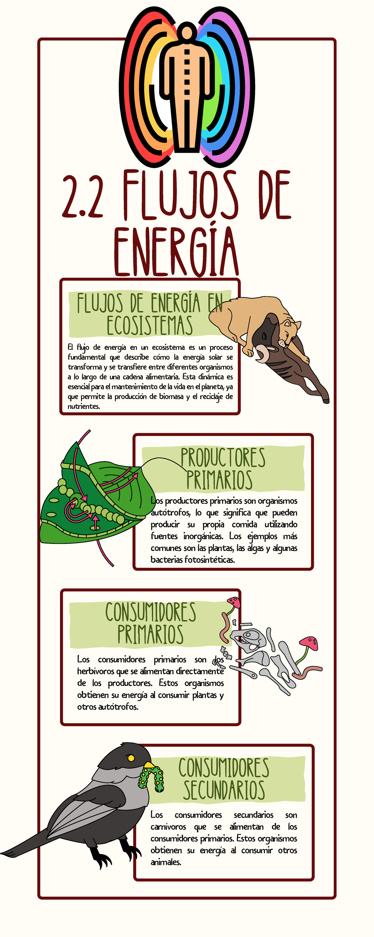 Hoja De Trabajo Sobre El Flujo De Energía En Los Ecosistemas