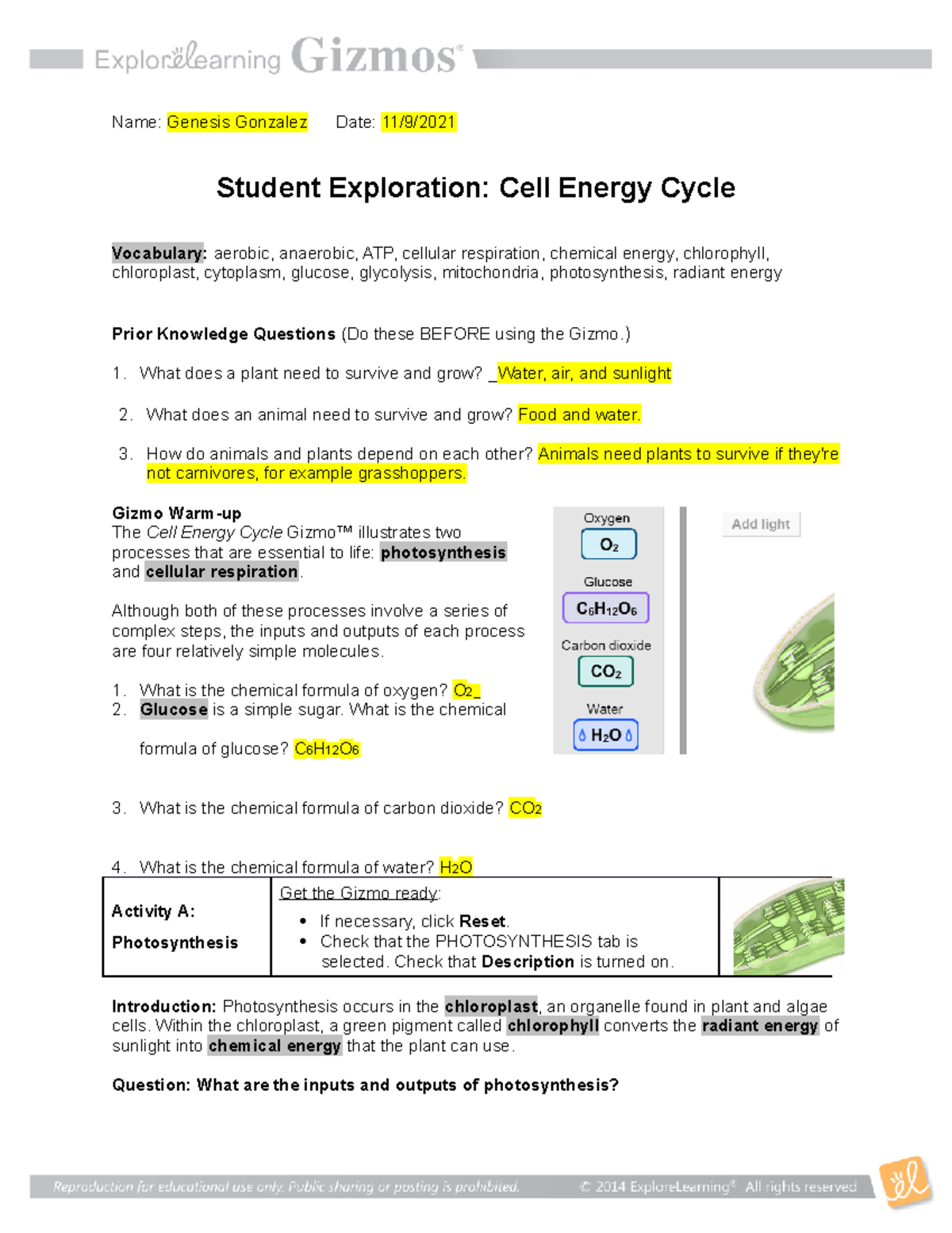 Cell Energy Cycle SE Overview and Activity Notes (Gizmo) - Studocu