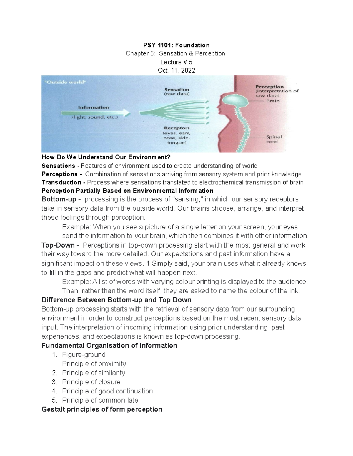 Chapter 5 Lec 5 - PSY 1101: Foundation Chapter 5: Sensation ...