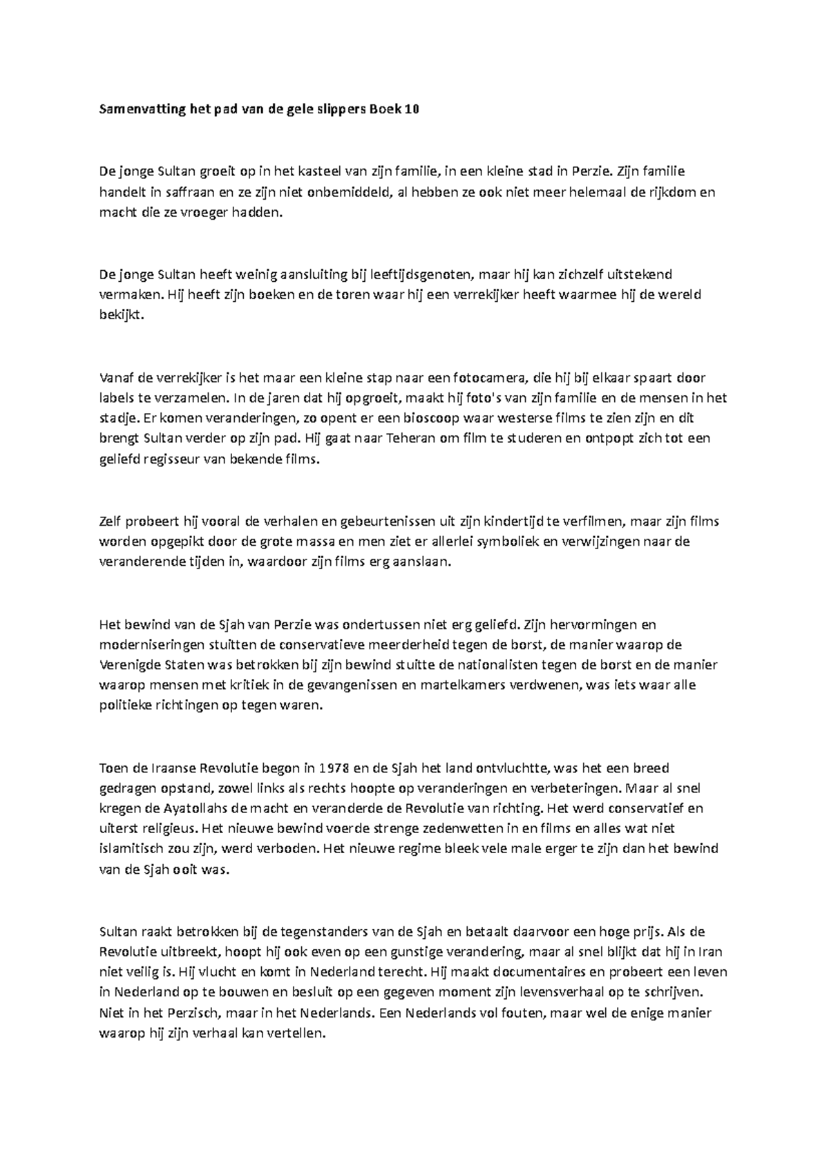Samenvatting van 'Het pad van de gele slippers', Boek 10 - Studeersnel