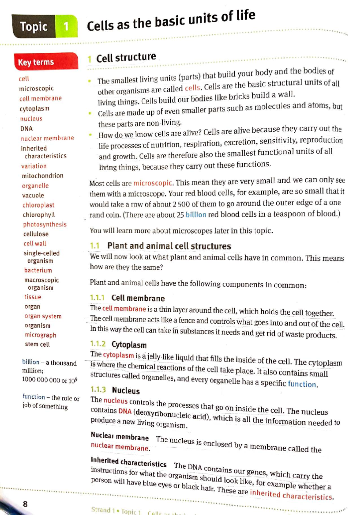 NS-Gr: Cells as the Basic Unit of Life - Key Concepts and Structures ...