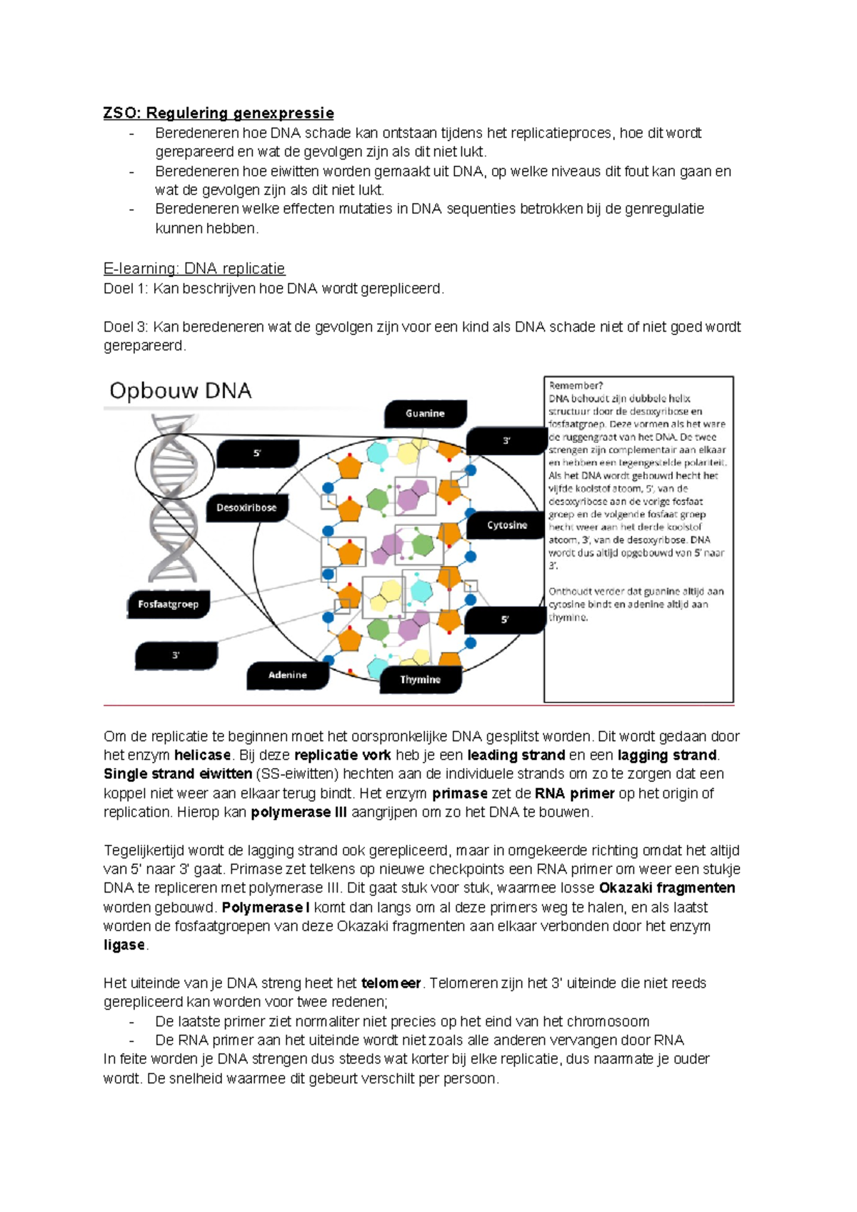ZSO: DNA Replicatie en Genexpressie - Mechanismen en Gevolgen - Studeersnel