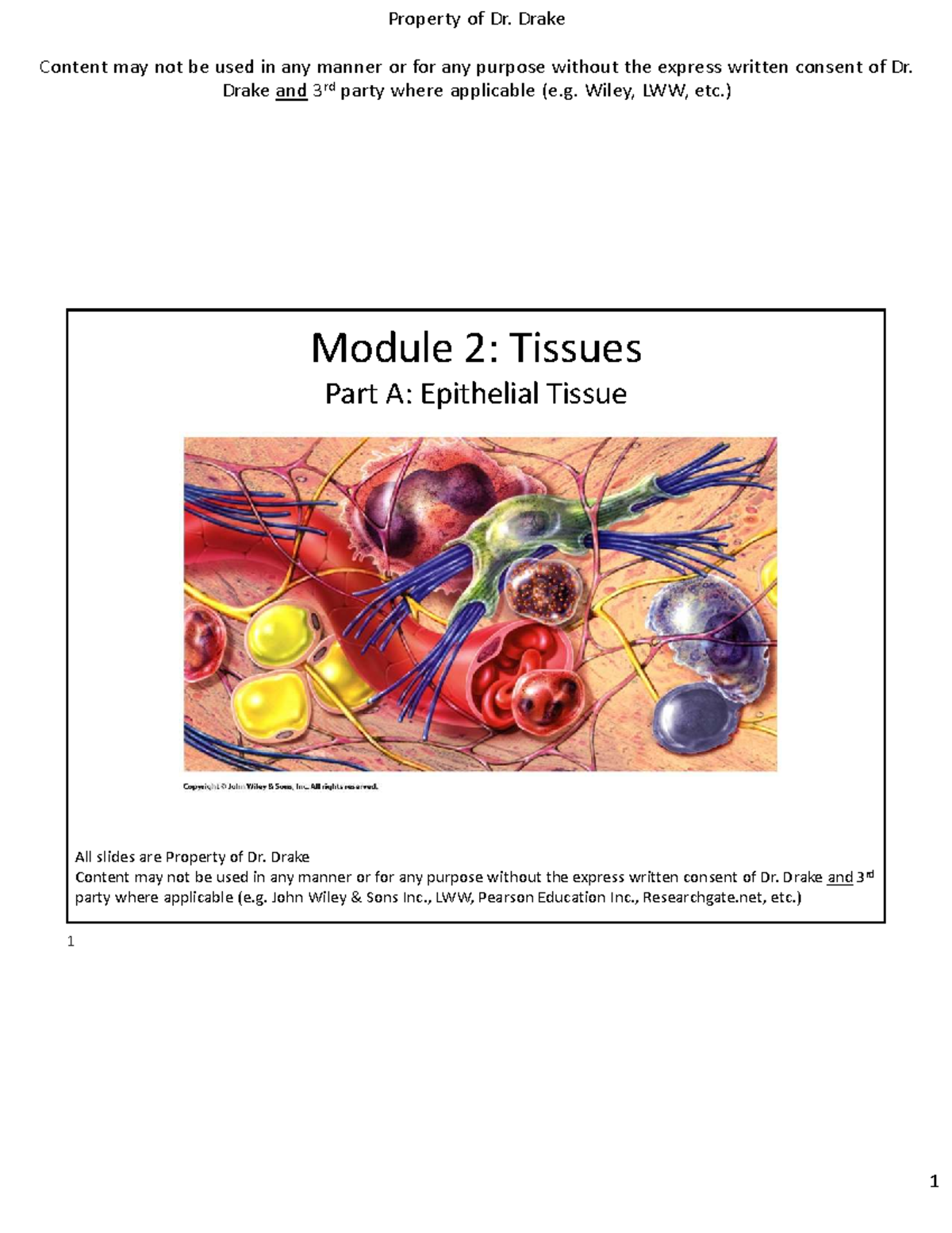 Module 2: Tissues - Part A: Epithelial Tissue Overview (F22) - Studocu