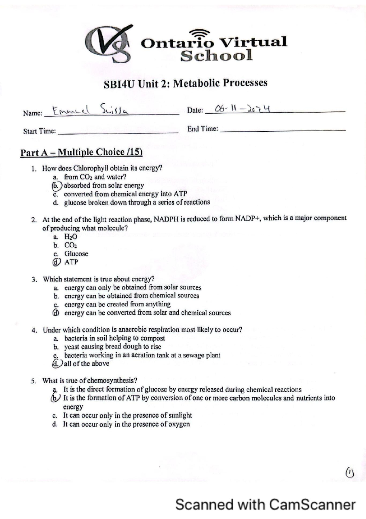 SBI4U Test: Unit 2 Metabolic Processes - Multiple Choice & Inquiry ...