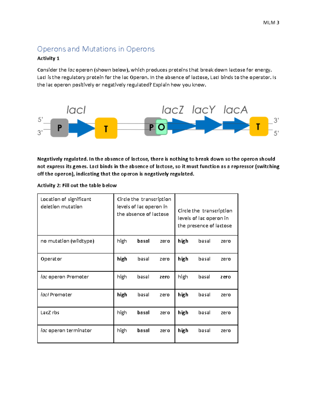 MLM 3: Operons and Mutations - Lac Operon Activities and Analysis - MLM ...