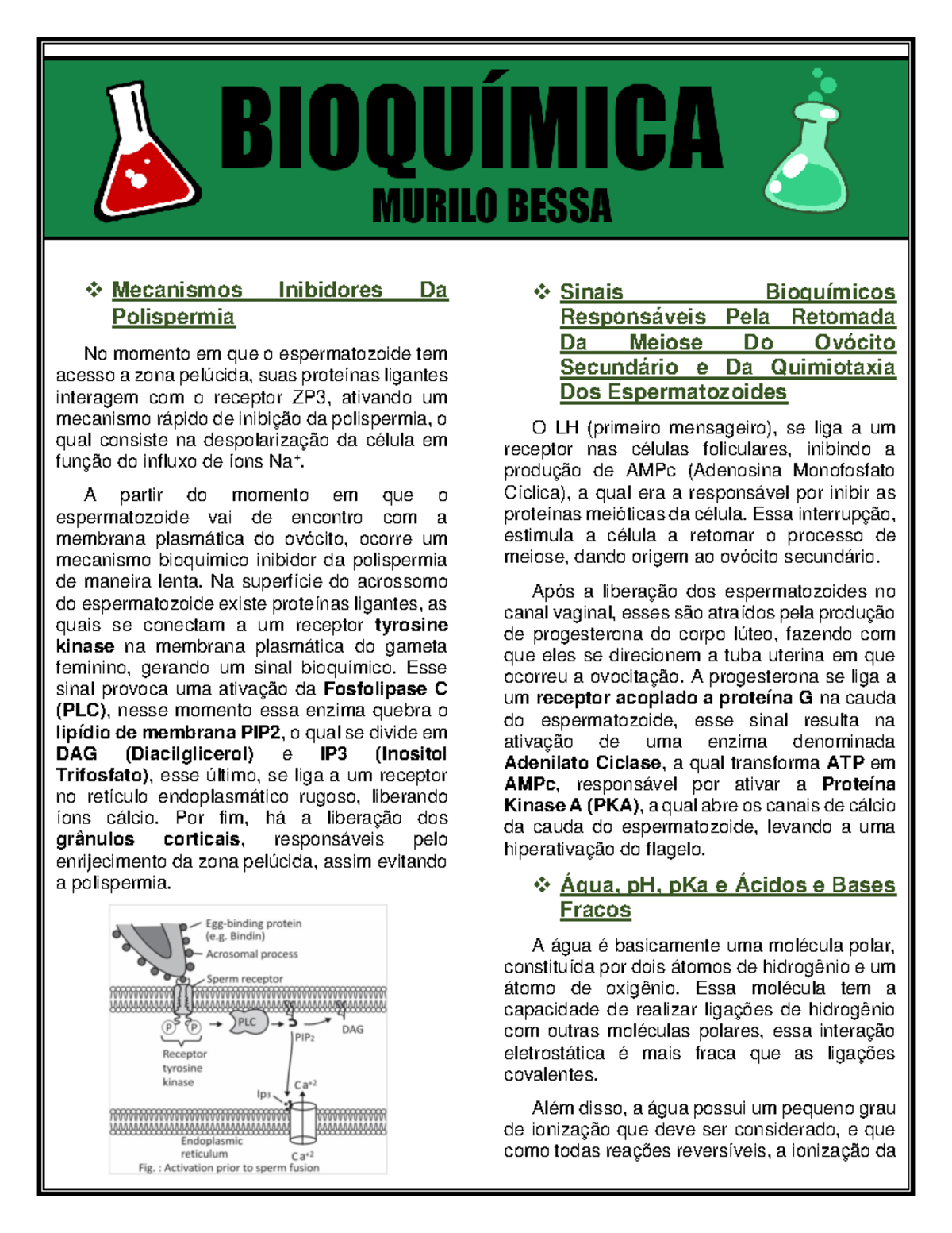 Resumo de Bioquímica: Mecanismos de Inibição e Reações Enzimáticas (1º ...
