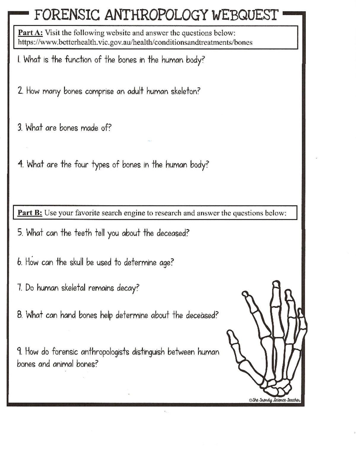 Forensic Anthropology Webquest Day 4: Exploring Bone Functions and ...