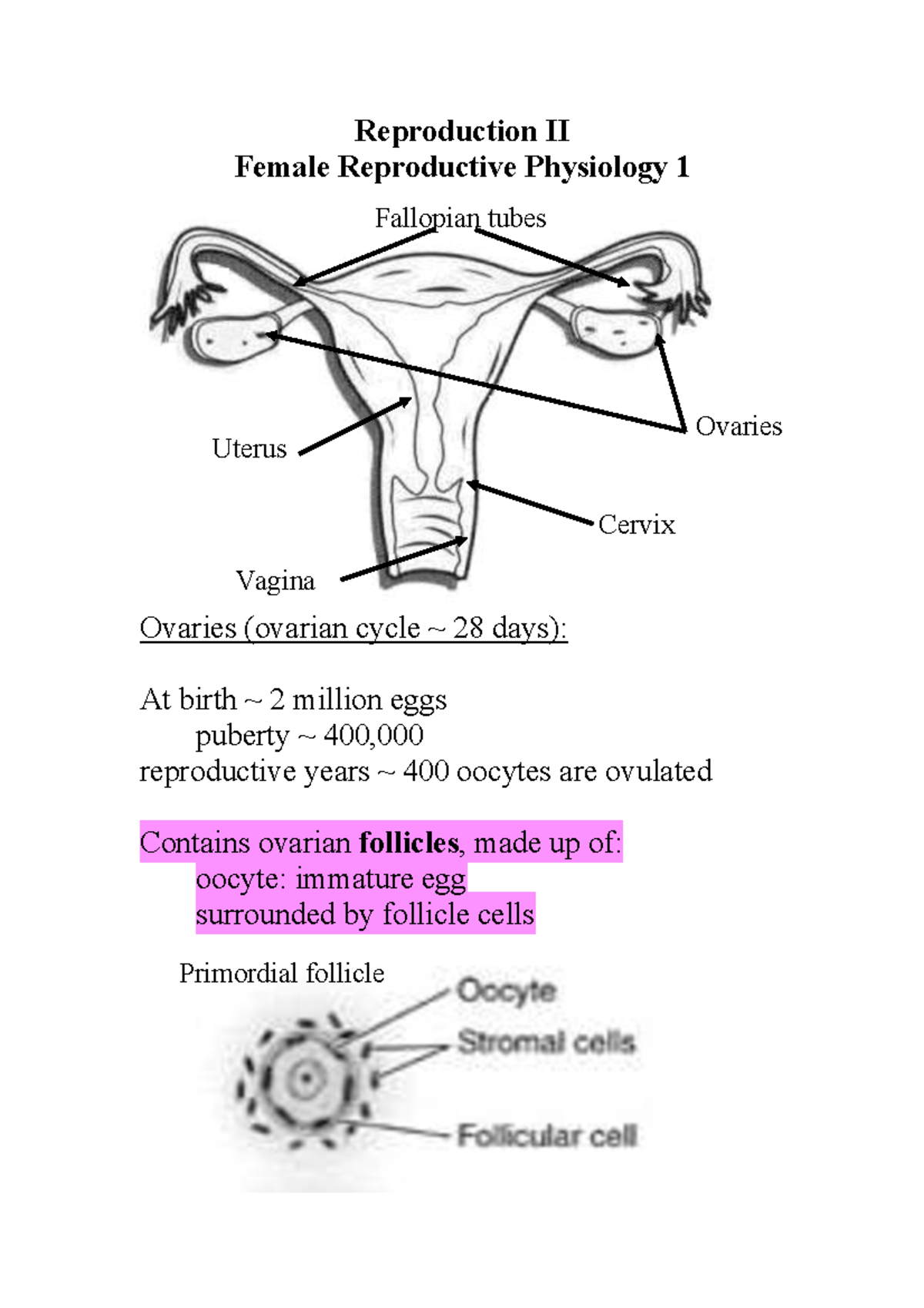 13 Reproduction-female reproduction 1 - Reproduction II Female Reproductive Physiology 1 Ovaries ...