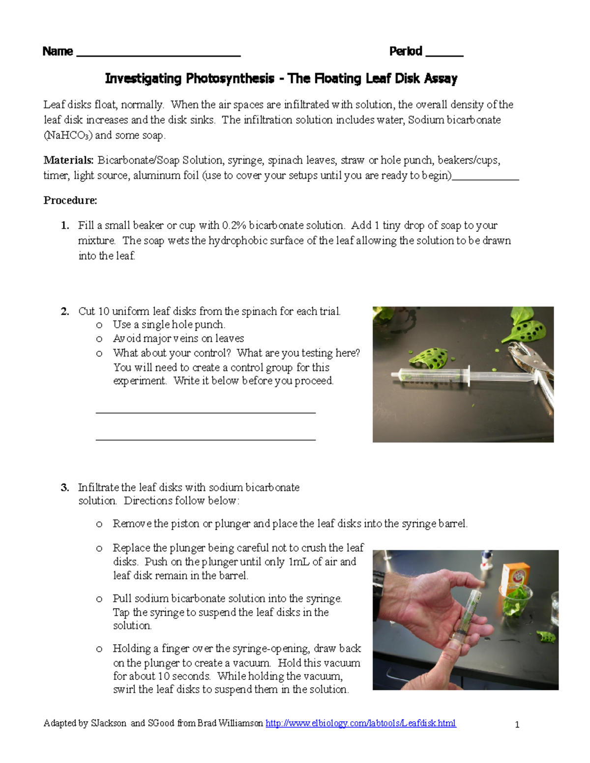 Photosynthesis Leaf Disk lab 2020-2021 - Name ...