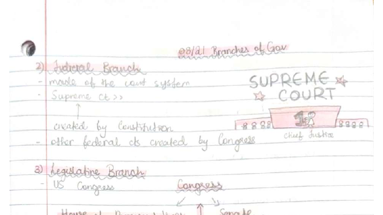 Exam 1 Notes: Branches of Government Overview (Gov 101) - Studocu