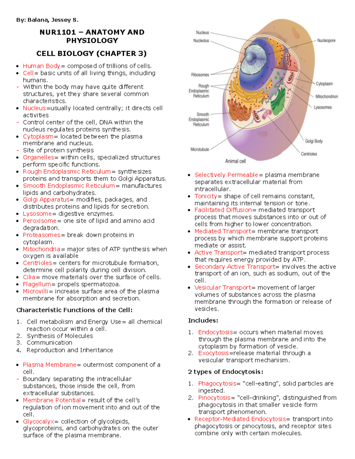 NUR1101 Final Exam Study Notes: Anatomy & Physiology - Cell Biology (Ch ...