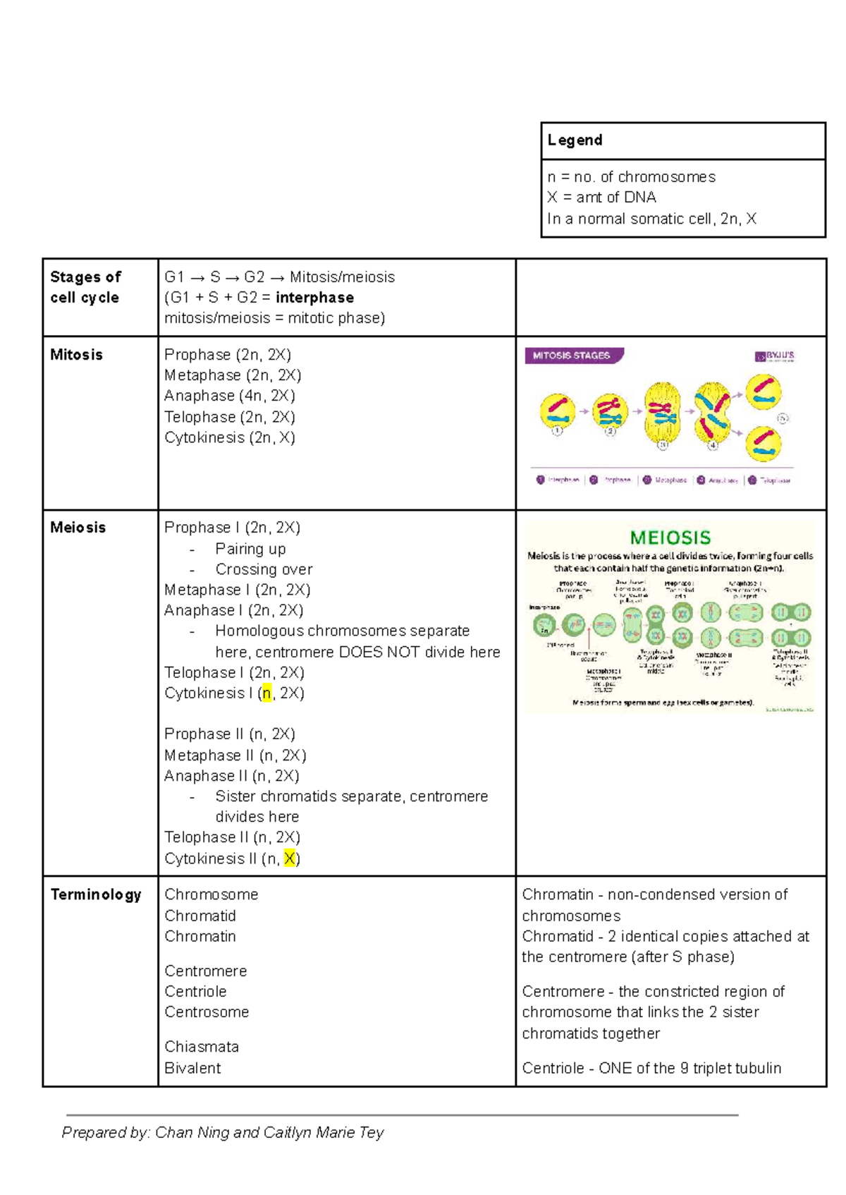 Cell Division: Mitosis & Meiosis Overview (Biology 9) - Studocu