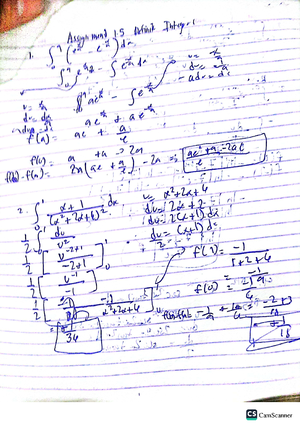 Assignment 1.6 SUPE - BASIC INTEGRATION - Integral calculus for ...