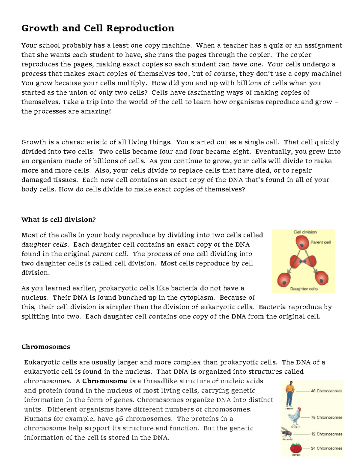 YMS 7th Grade Science: Growth & Cell Reproduction Reading Packet with ...