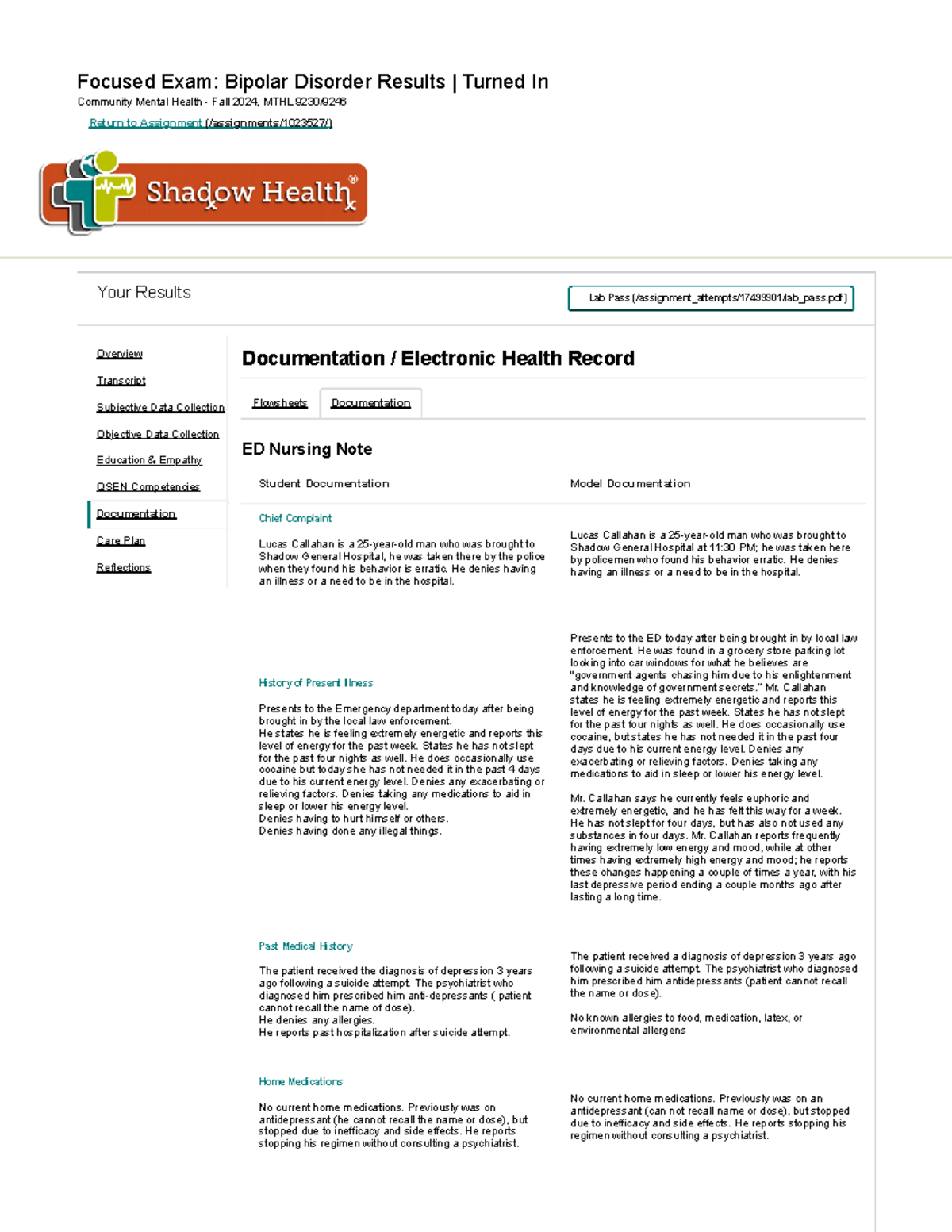 Focused Exam: Bipolar Disorder Results for Lucas Callahan, MTHL 9230 ...