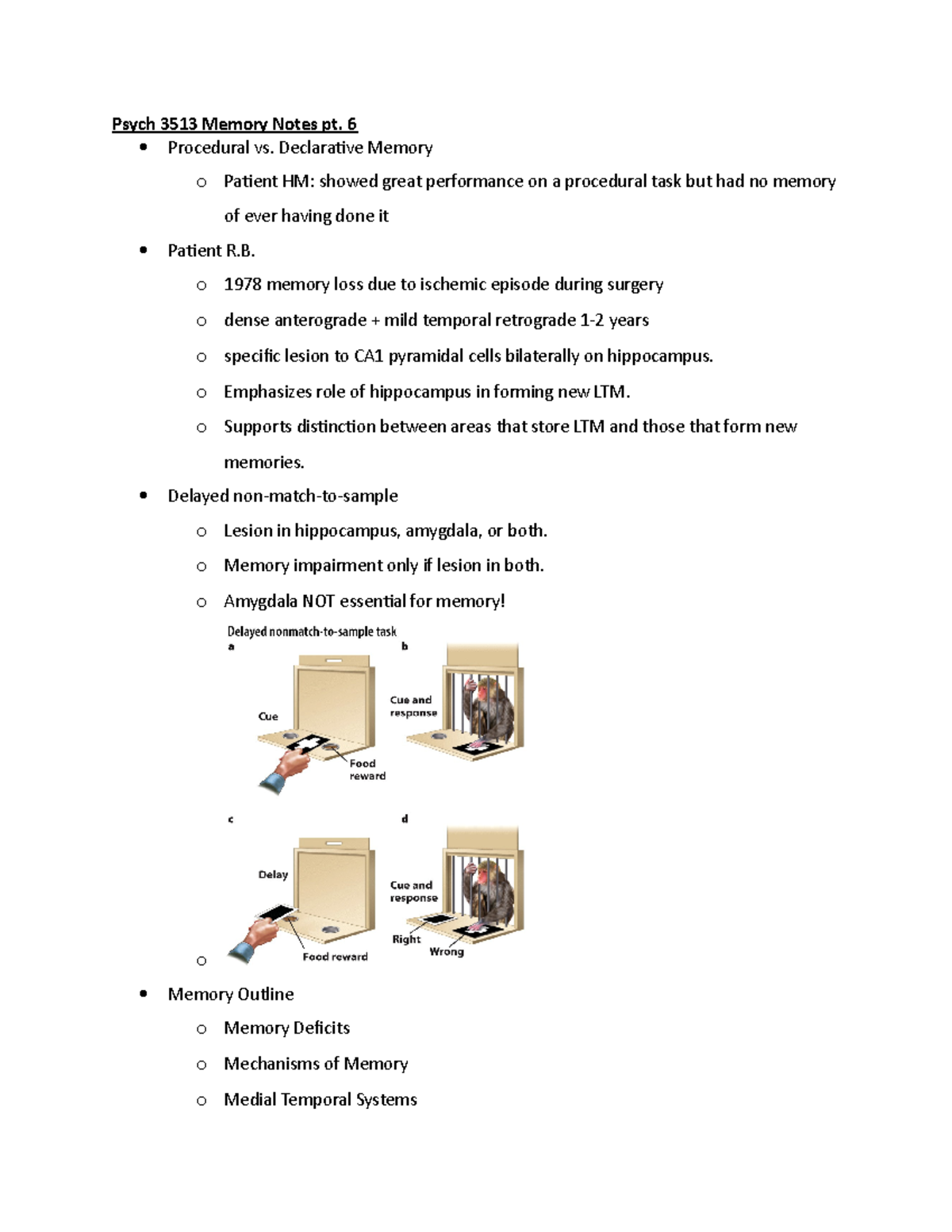 Psych 3513 chapter 9 memory notes pt 3 - Psych 3513 Memory Notes pt. 6 ...