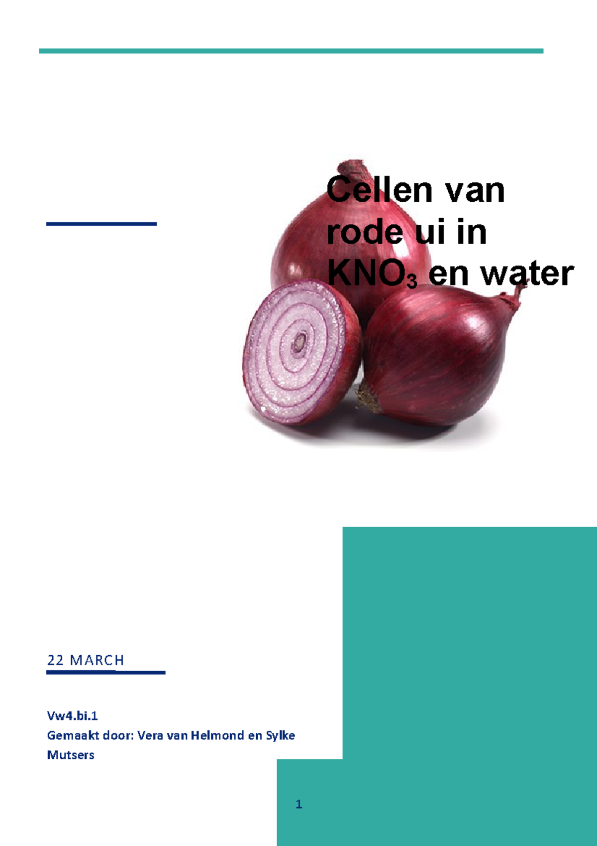 Practicum KNO 3 Effect op Osmose in Cellen van Rode Ui - Studeersnel