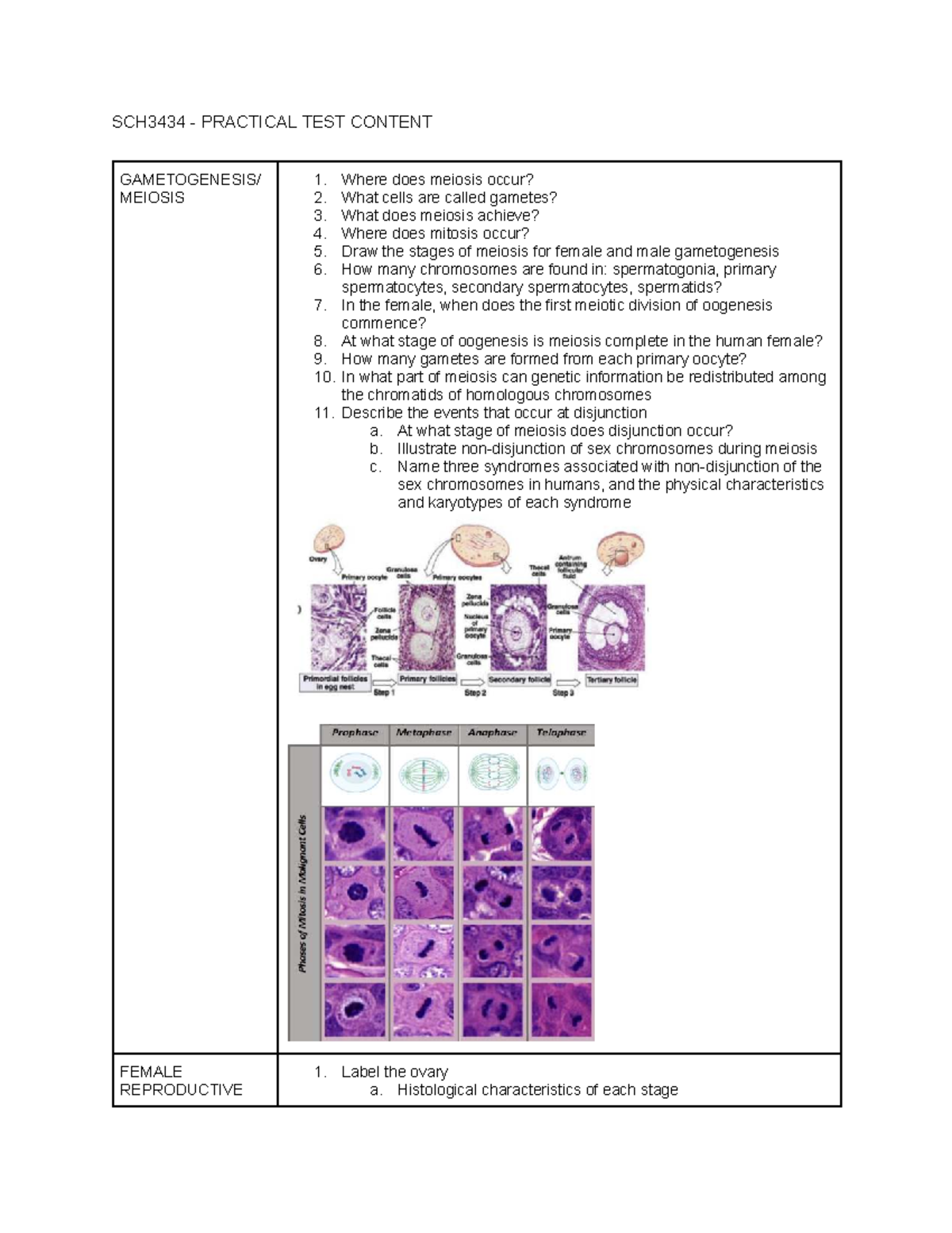 SCH3434 - Meiosis & Reproductive System Practical Test Notes - Studocu