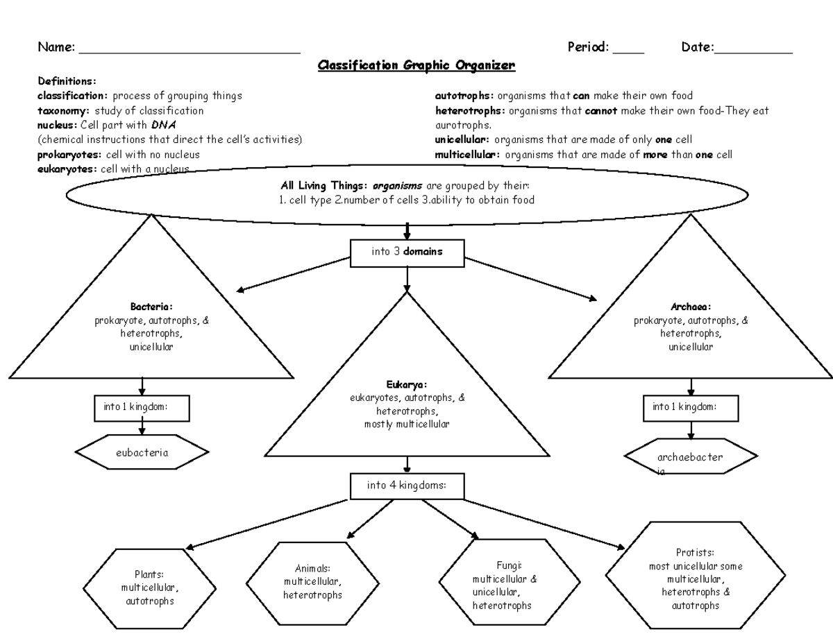 Natural Selection Graphic Organizer