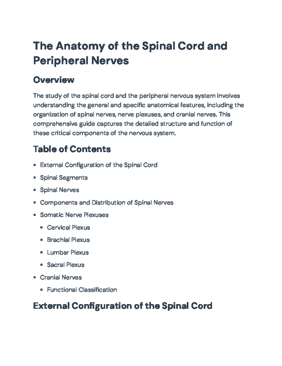 Anatomy of Spinal Cord & Peripheral Nerves: Overview (BIO 101) - Studocu