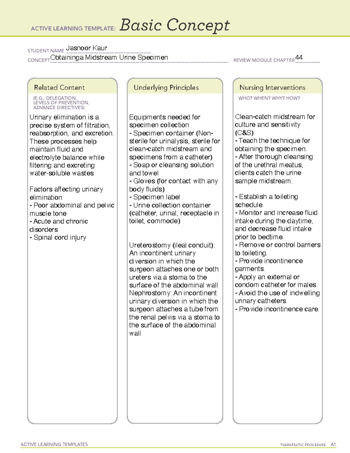 Active Learning Template: Therapeutic Procedures & Urine Specimen ...