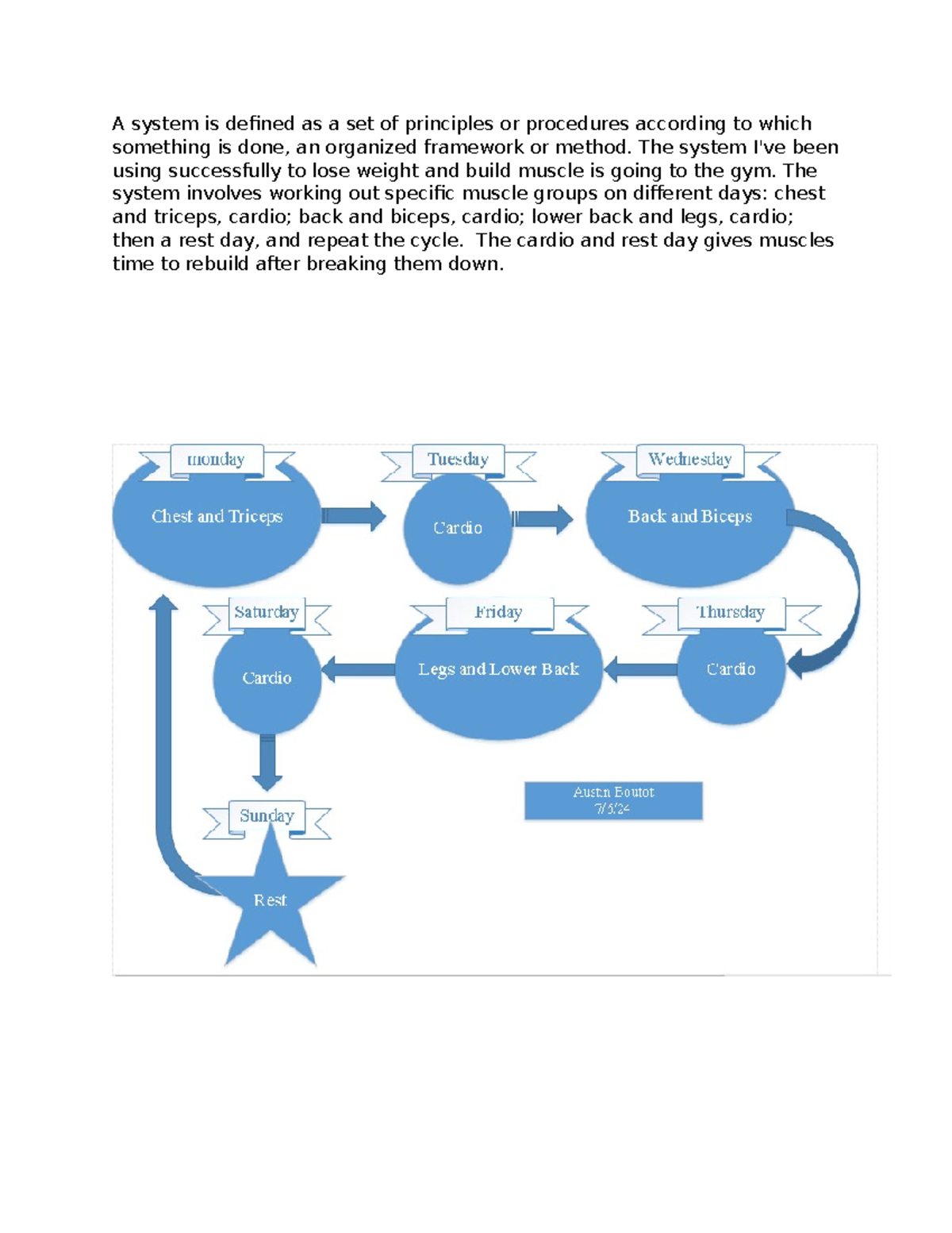 Muscle - how to make a flow chart - A system is defined as a set of ...