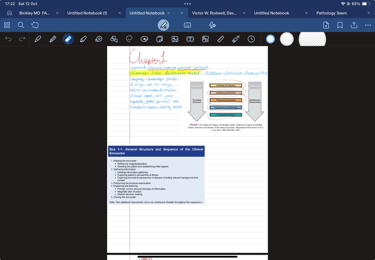 Clinical Encounter Framework: Structure & Sequence (Chapter 1 Notes ...