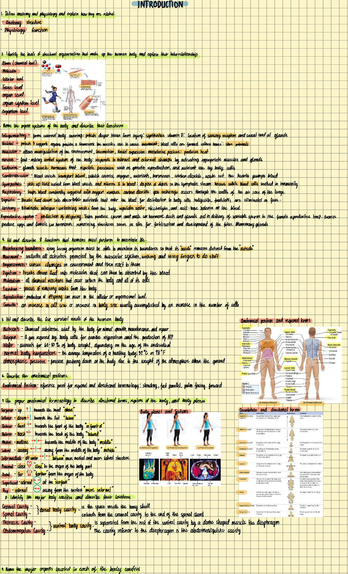 Introduction to Human Anatomy and Physiology (BIO 101) - Key Concepts ...