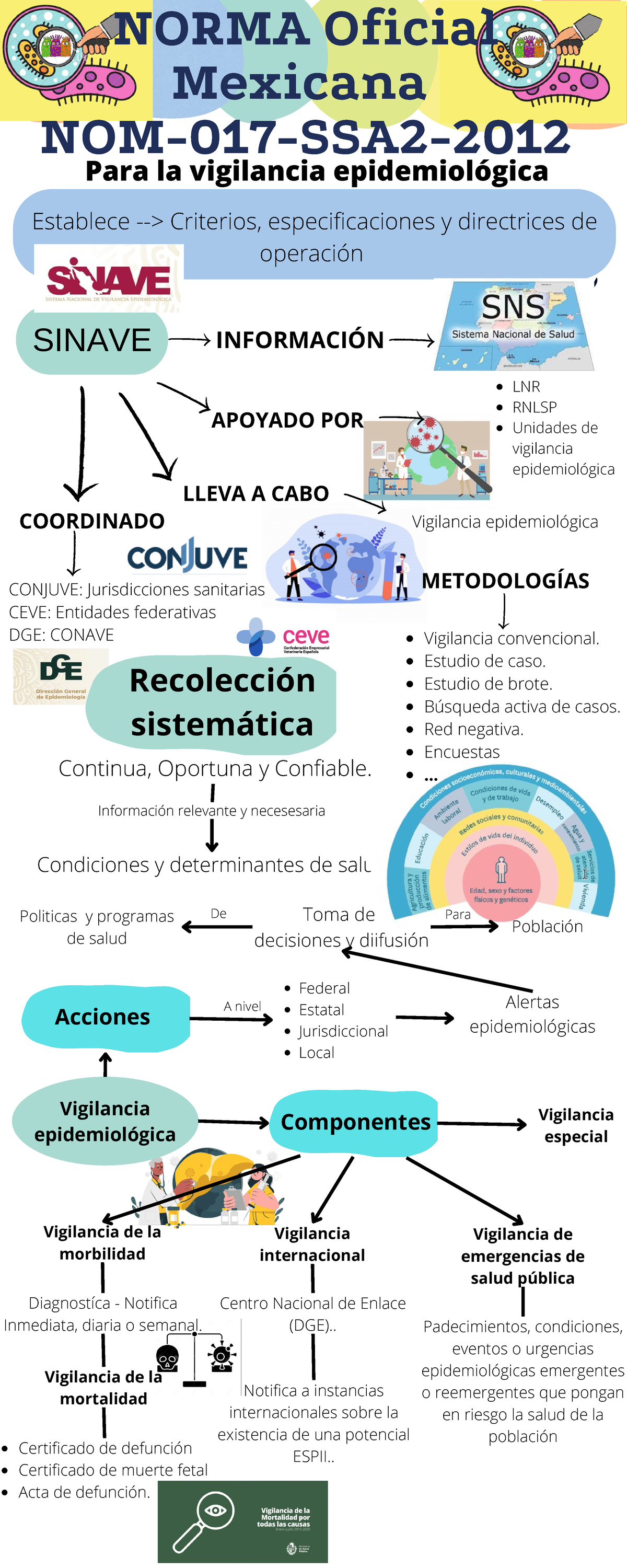 Infografia DE Epdemiologia - SINAVE LLEVA A CABO METODOLOGÍAS ...