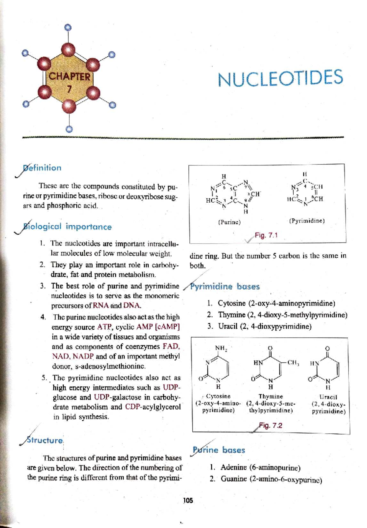 Unit 7: Nucleic Acids and Nucleotides - Comprehensive Overview - Studocu