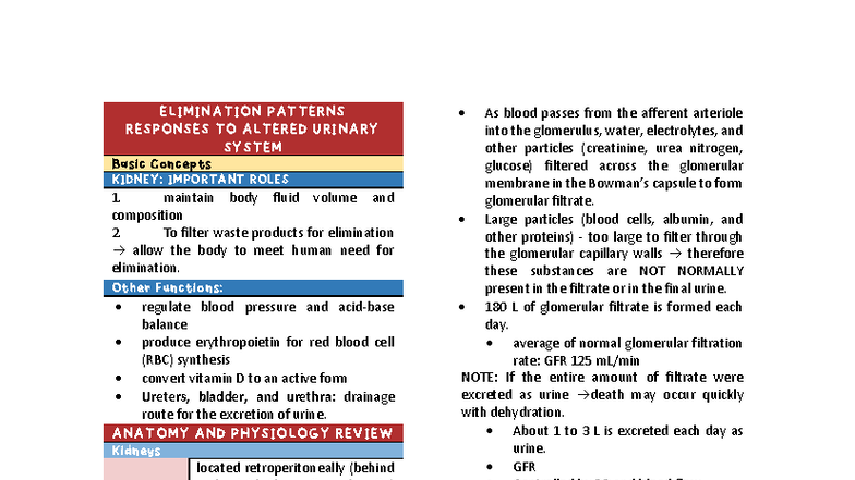 Altered Urinary Patterns: Key Concepts and Nursing Insights (NUR 101 ...