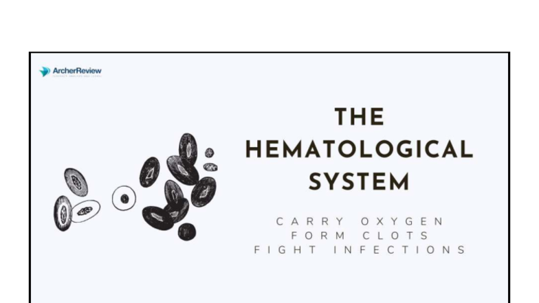 Hematology & Infectious Disease: Anatomy, Physiology, & Pharmacology ...